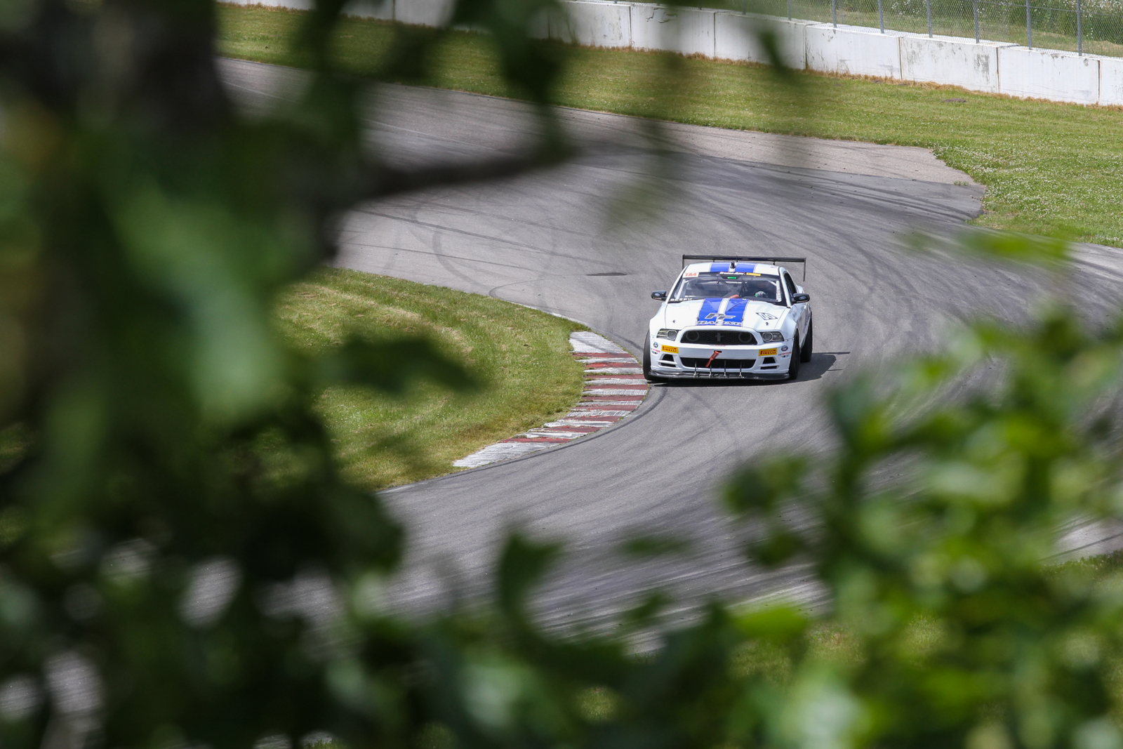 Allegretta and Buffomante take Trans Am poles at Brainerd